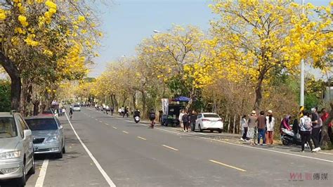 有影片芬園黃金大道的煩惱攤販擁擠交通安全問題與遊客取景困擾 觀傳媒