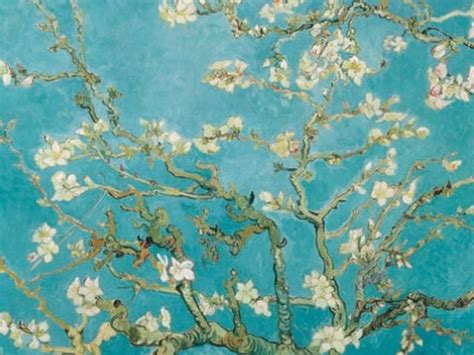 별이 빛나는 밤 The Starry Night 1889 Oil On Canvas 뉴욕 Moma 1888년 2월 반