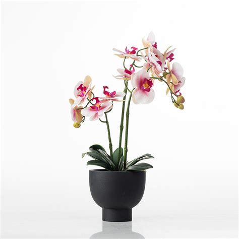Shop Our New Season Range Bed Bath And Beyond Nz Everlasting Orchid Pink