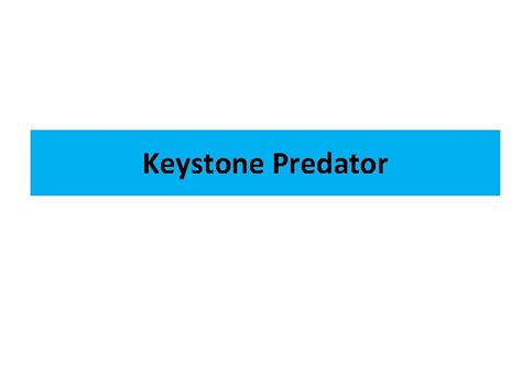 Keystone Species Flagship Species Umbrella Species Core Course