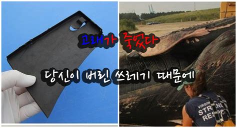 Postshar포스트쉐어 On Tumblr