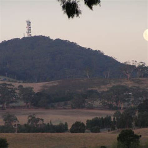 Photos Buninyong Walks
