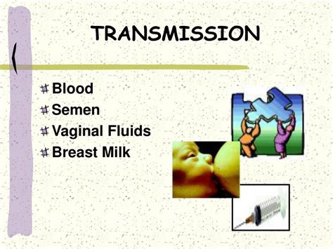 Ppt Human Sexuality Powerpoint Presentation Free Download Id 5962529