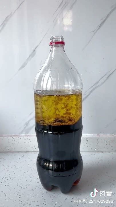 콜라에 참기름 넣고 멘토스 넣으면 생기는 일 허팝 신기한 과학 멘토스 Youtube