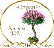 СаНата