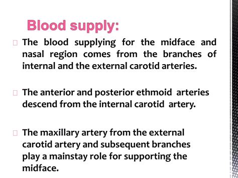 Noe Fracture Ppt Pptx