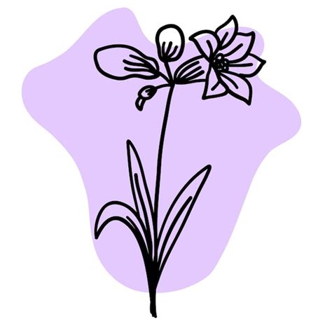 Seltene Blume Vektoren Und Illustrationen Zum Kostenlosen Download