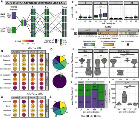 integrating ase and qtl data reveal cidec as a candidate gene for
