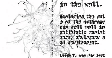 Another Brick In The Wall The Role Of The Actinobacterial Cell Wall In