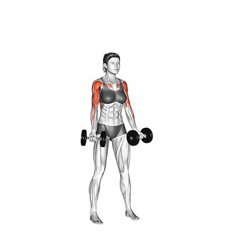 Dumbbell Curl To Press Video Guide Lyfta