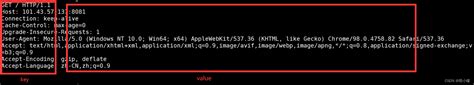 【项目实战】自主实现 项目（一）——tcp、的创建与实现较兼容的行读取tcpservergetinstance Csdn博客