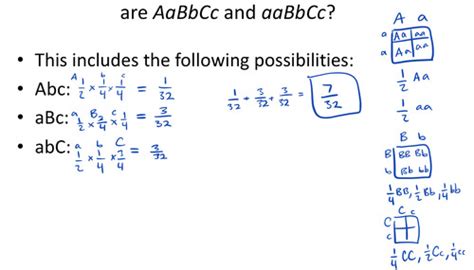 Lecture 4 Mendelian Inheritance I Flashcards Quizlet