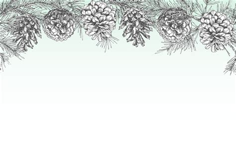 Festivev 背景範本與無縫圖案寫實植物墨水杉木樹枝與松木的草圖在白色的黑色和白色的顏色隔開向量插圖向量圖形及更多pinaceae圖片