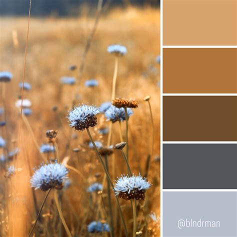 Пин от пользователя Lorraine Lachapelle Geno на доске Colours Осенние