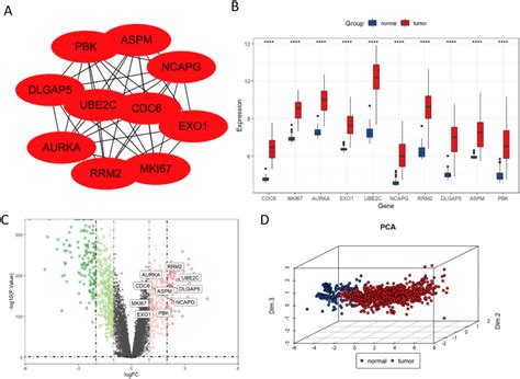 The Bioinformatics Analysis And Experimental Validation Of The
