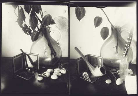 Physalis The Kickplate Project