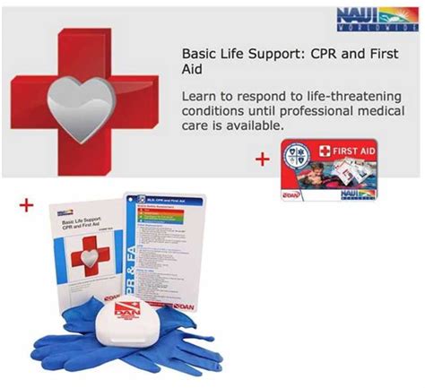 Basic Life Support Cpr And First Aid Diving With Doug