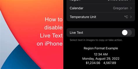 How To Disable Live Text On IPhone