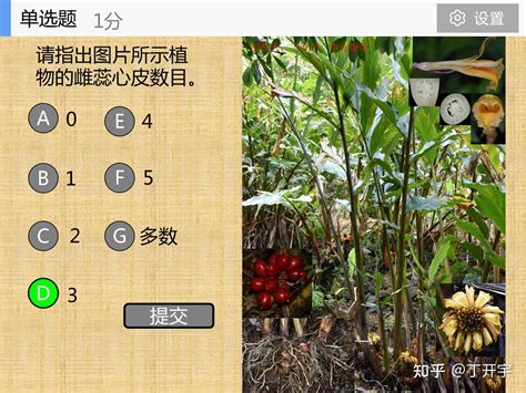 学习植物分类学入门（一）—观察植物形态，掌握形态术语 知乎