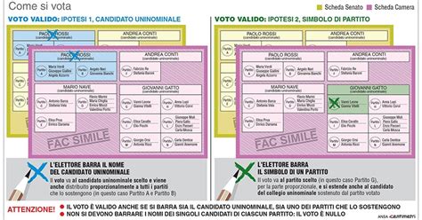 Elezioni 2018 Fac Simile Schede Elettorali Politiche Regionali Come