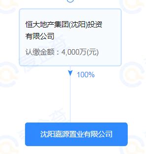 沈阳发现多例核酸检测结果异常轨迹公布恒大沈北18 66万平地块被认定为闲置土地 栋察楼市早报11 19 农路 森林