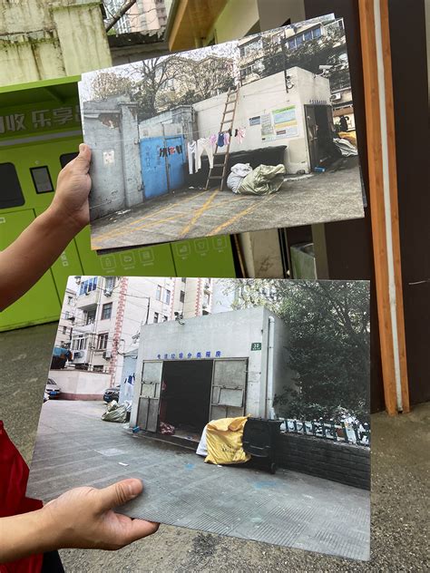 上海垃圾分类五周年，正在进行哪些新探索？浦江头条澎湃新闻 The Paper