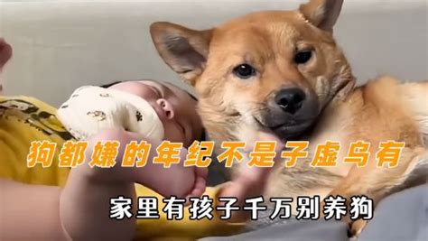 狗都嫌的年纪不是子虚乌有家里有孩子千万别养狗第一次见讹狗 高清1080P在线观看平台 腾讯视频