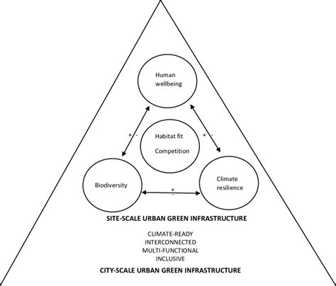 Priorities Synergies And Trade Offs For Urban Green