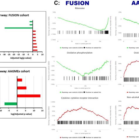 Gene Set Enrichment Analysis Gsea Shows Up And Down Regulated