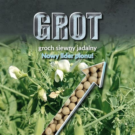 Groch Siewny Grot C 1 A1000 Kg Bobowate Agrii