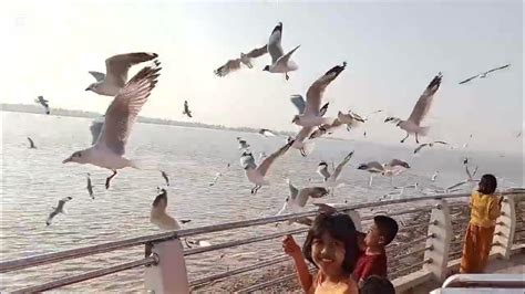 မော်လမြိုင်ကမ်းနားလမ်းညနေခင်းအလှ Youtube