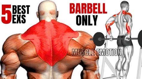 Traps Workout 5 Best Exercises Wit Barbell Only At Home Youtube