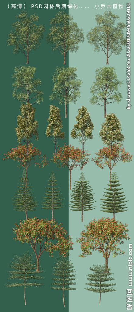 园林后期树木设计图 园林设计 环境设计 设计图库 昵图网