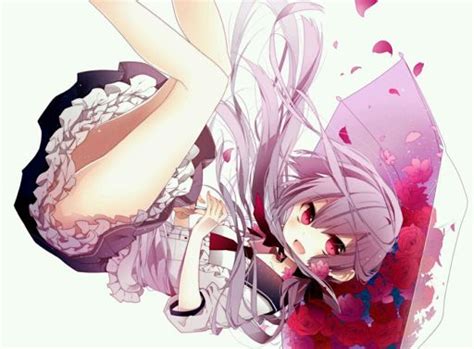🌸 💝 Anime Amino
