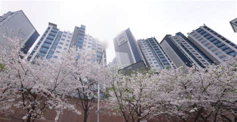 돈의문센트레빌 평면도 시세 매매 전세 실거래가 입지분석 총정리