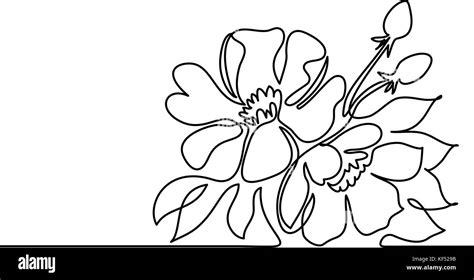 Beautiful Flowers Continuous Line Drawing Vector Illustration Stock
