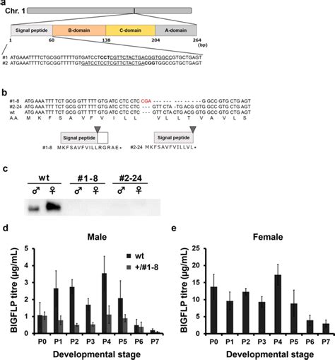 胰岛素样生长因子样肽可促进家蚕家蚕卵巢发育 Scientific Reports X MOL