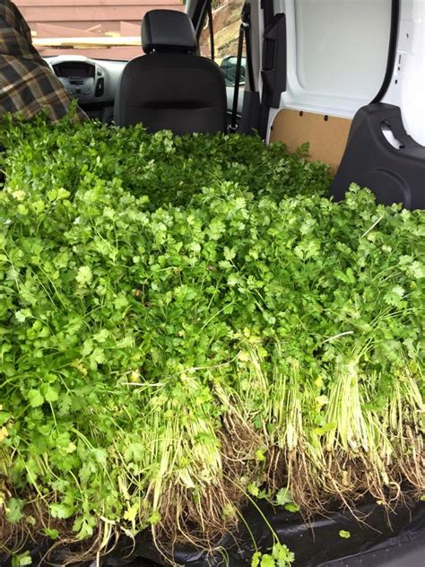 Ac Culinary Group San Juan