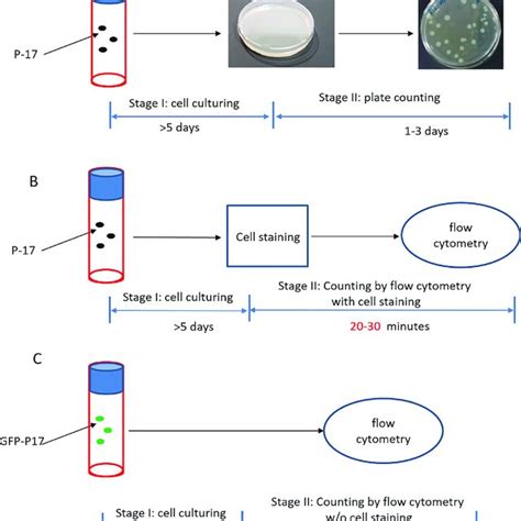Schematic Presentation Of Our Method Compared To Other Methods A Download Scientific Diagram