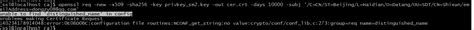 Openssl 报错： Unable To Find Distinguishedname In Configproblems