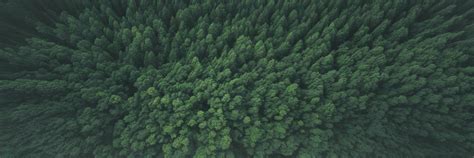 Synchronizing Disabled User Accounts Between Active Directory Domains