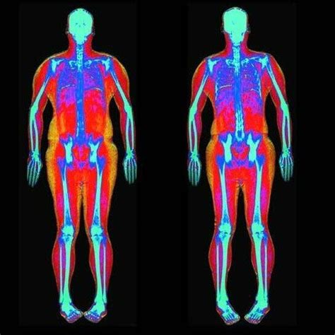 Services Inner West Allied Health Centre