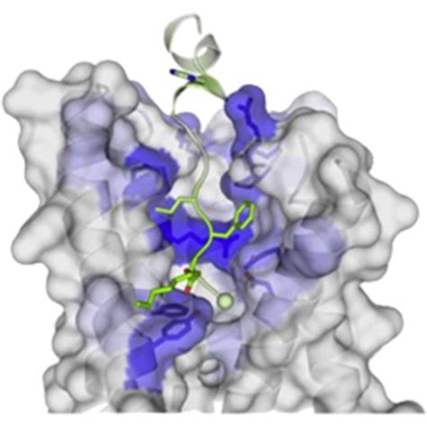 Pdb Ihm Validation Report