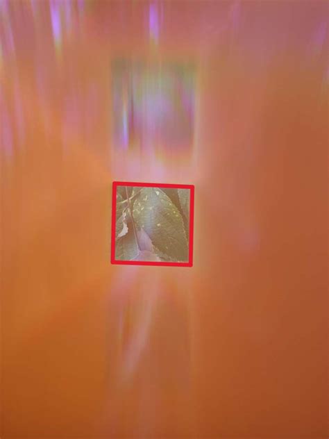 Image Crop Based On Linecorner Detection With Python Stack Overflow