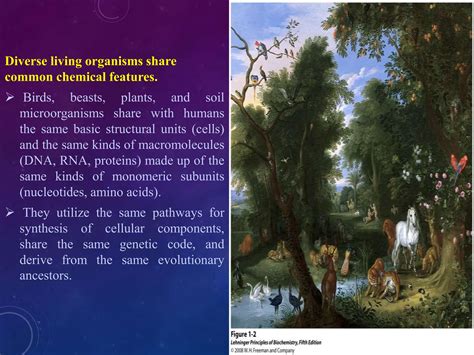 Cell Biology Lecture 1pptx