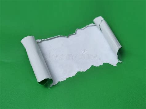 Furo Em Papel Verde Curvado Do Lado Rasgado Imagem De Stock Imagem De Furo Folha 344731833
