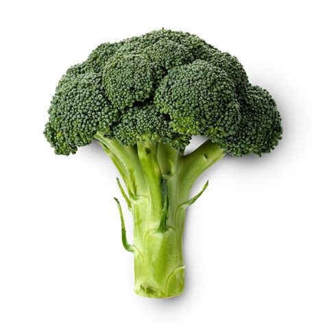 Broccoli Veggycation