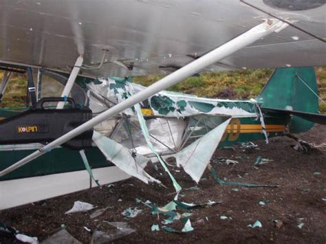 Alaskan Bush Plane Attacked By A Bear Jetforums Jet Aviations