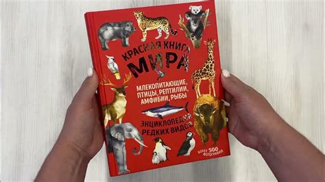 Красная книга мира. Млекопитающие, птицы, рептилии, амфибии, рыбы - YouTube