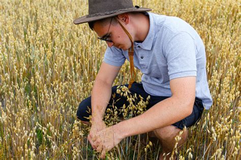 수확기 곡물 푸른 하늘을 배경으로 금밀밭에 앉아 있는 농부의 초상화 현장에서 선글라스와 카우보이 모자를 쓰고 밀 작물을 조사하는 청년 귀리 곡물 산업 근접 촬영 20 24